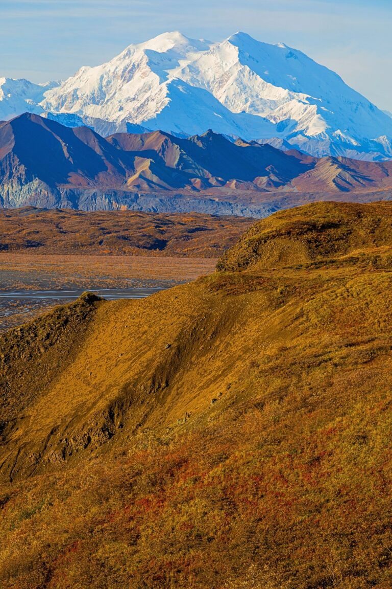 Denali National Park: 1st Time Visitor Guide