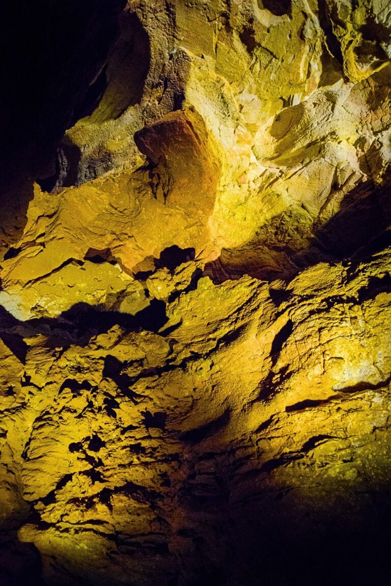 Wind Cave National Park South Dakota: 1st Time Visitor Guide