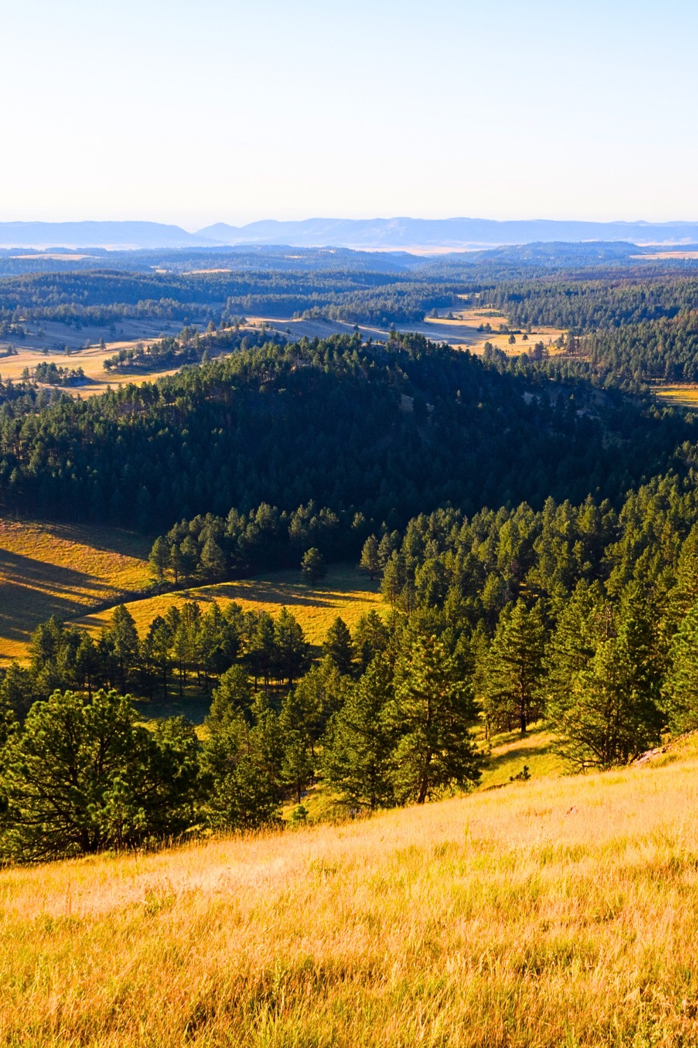 Wind Cave National Park South Dakota: 1st Time Visitor Guide