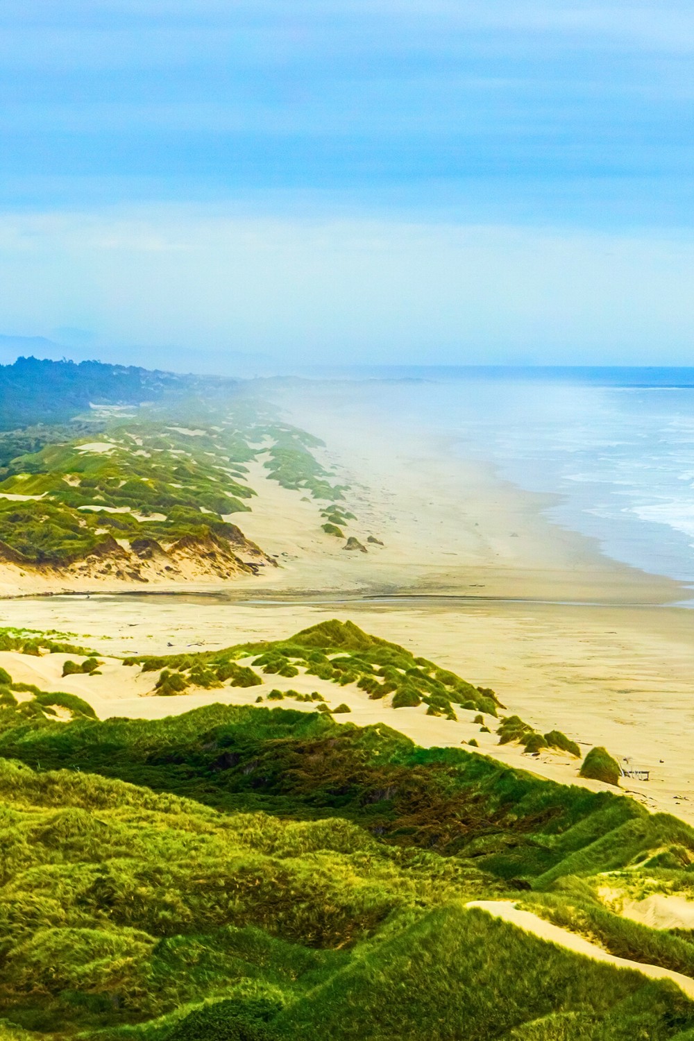 Oregon Dunes National Recreation Area: 1st Time Visitor Guide