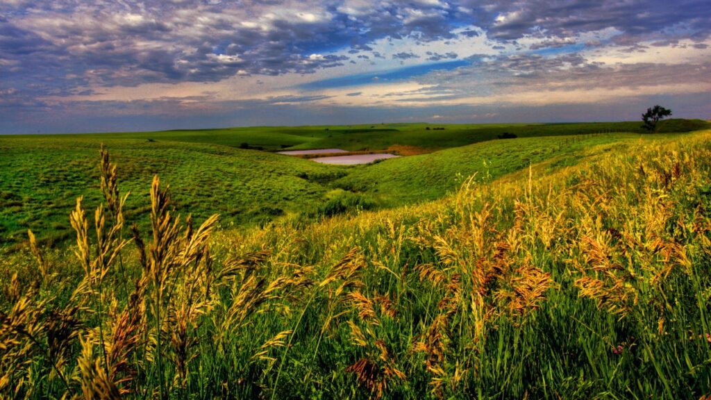 10 Kansas Road Trip Ideas With Hidden Gems Revealed