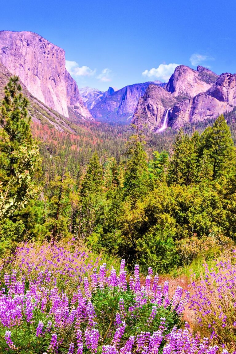 Yosemite Valley: 1st Time Visitor Guide