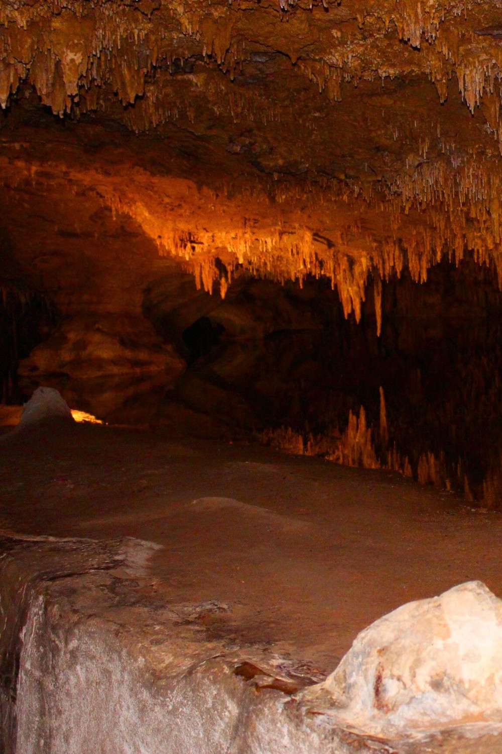 Carter Caves State Resort Park: 1st Time Visitor Guide