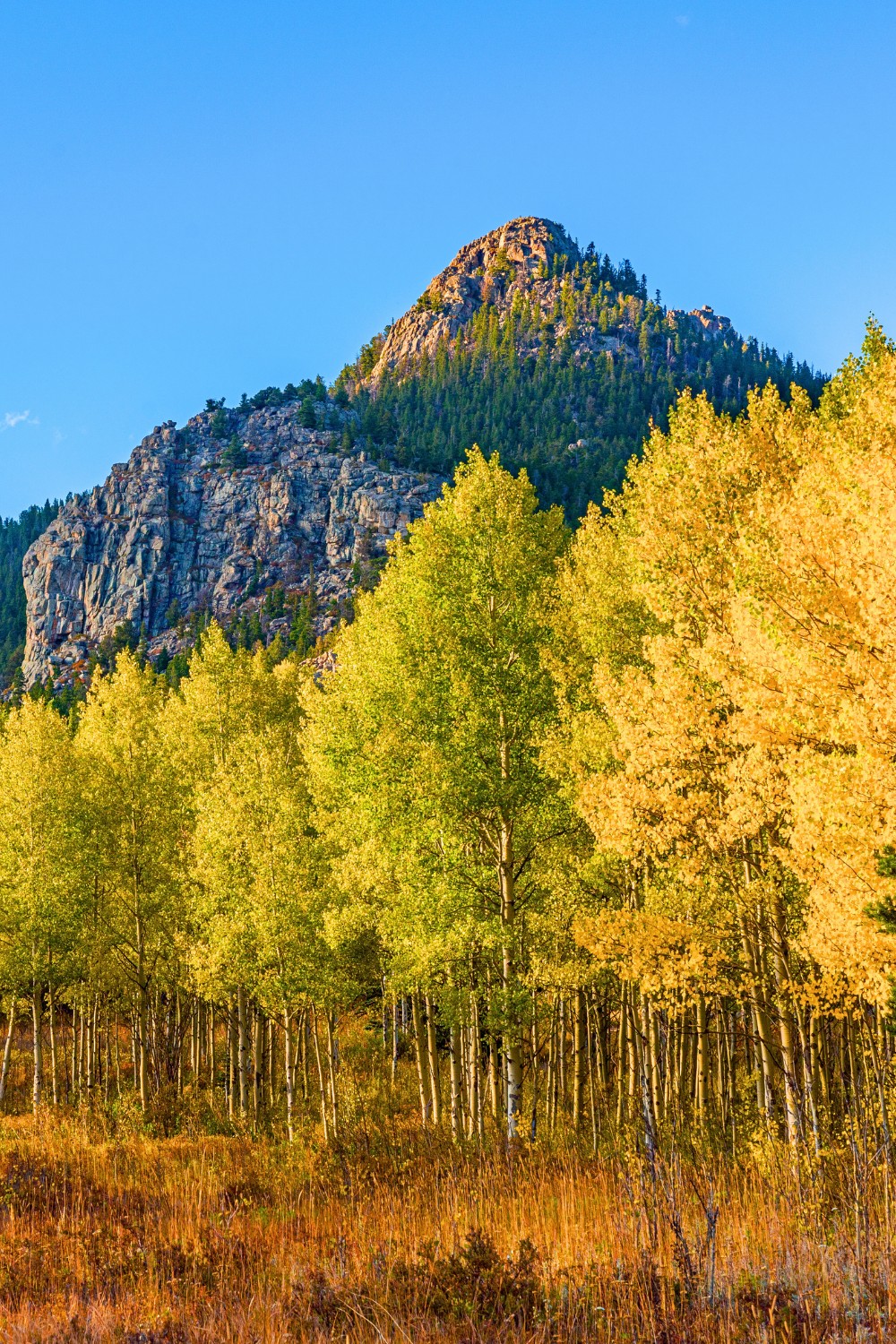 Golden Gate Canyon State Park Colorado: 1st Time Visitor Guide