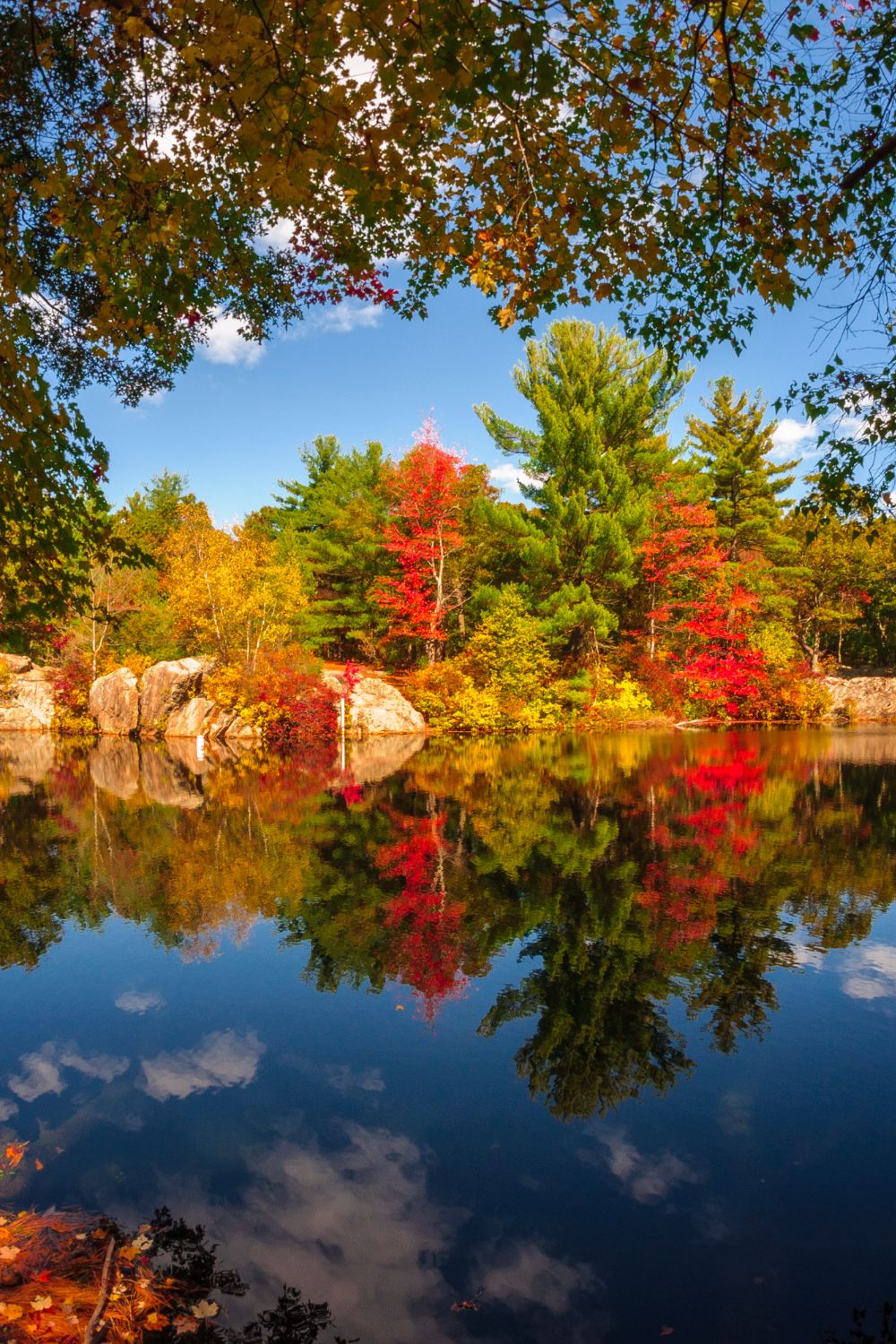 25 Fall Foliage Road Trips to Try This Year