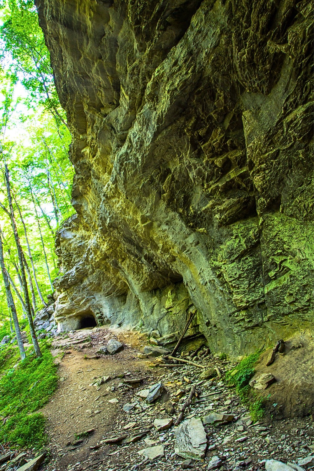 Carter Caves State Resort Park: 1st Time Visitor Guide