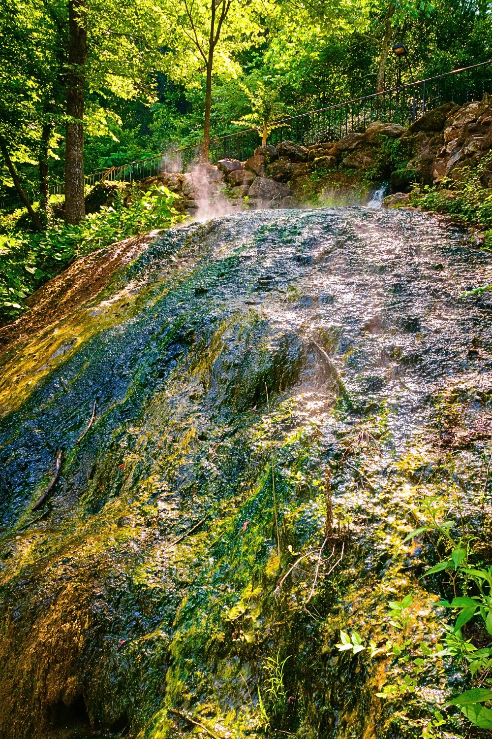 Hot Springs National Park Arkansas: 1st Time Visitor Guide