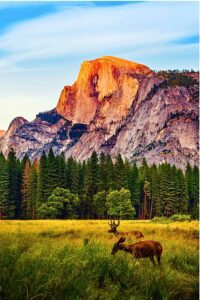 Yosemite Valley: 1st Time Visitor Guide