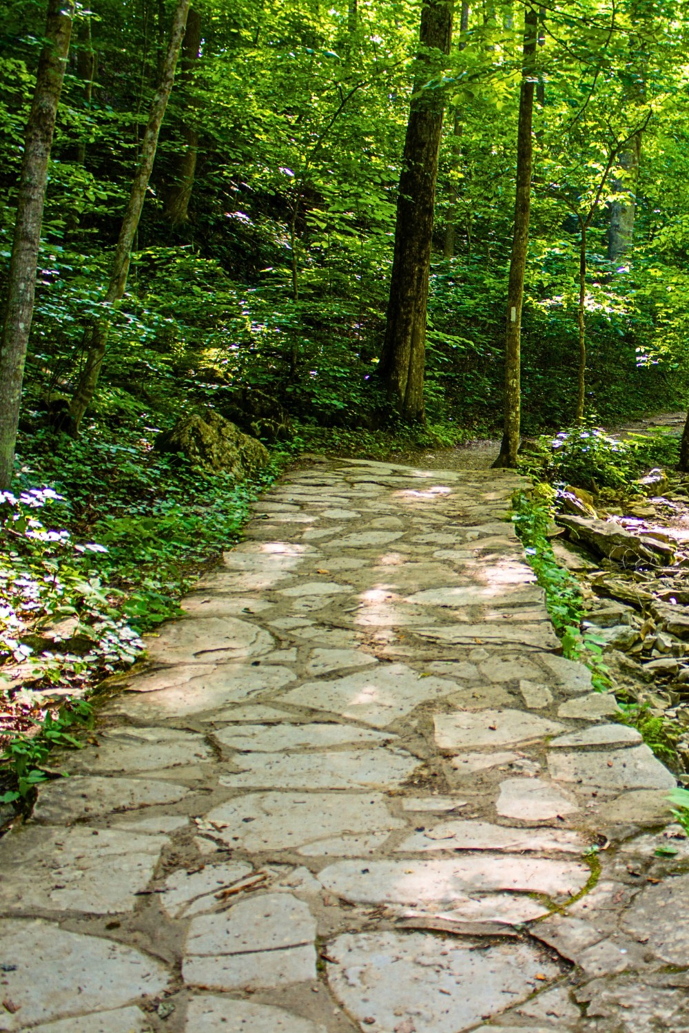 Carter Caves State Resort Park: 1st Time Visitor Guide
