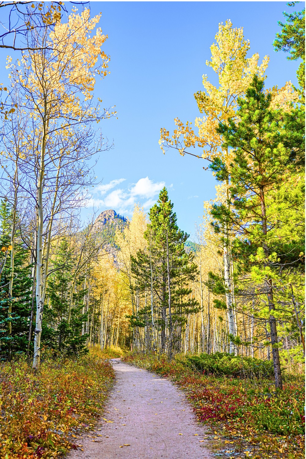 Golden Gate Canyon State Park Colorado: 1st Time Visitor Guide