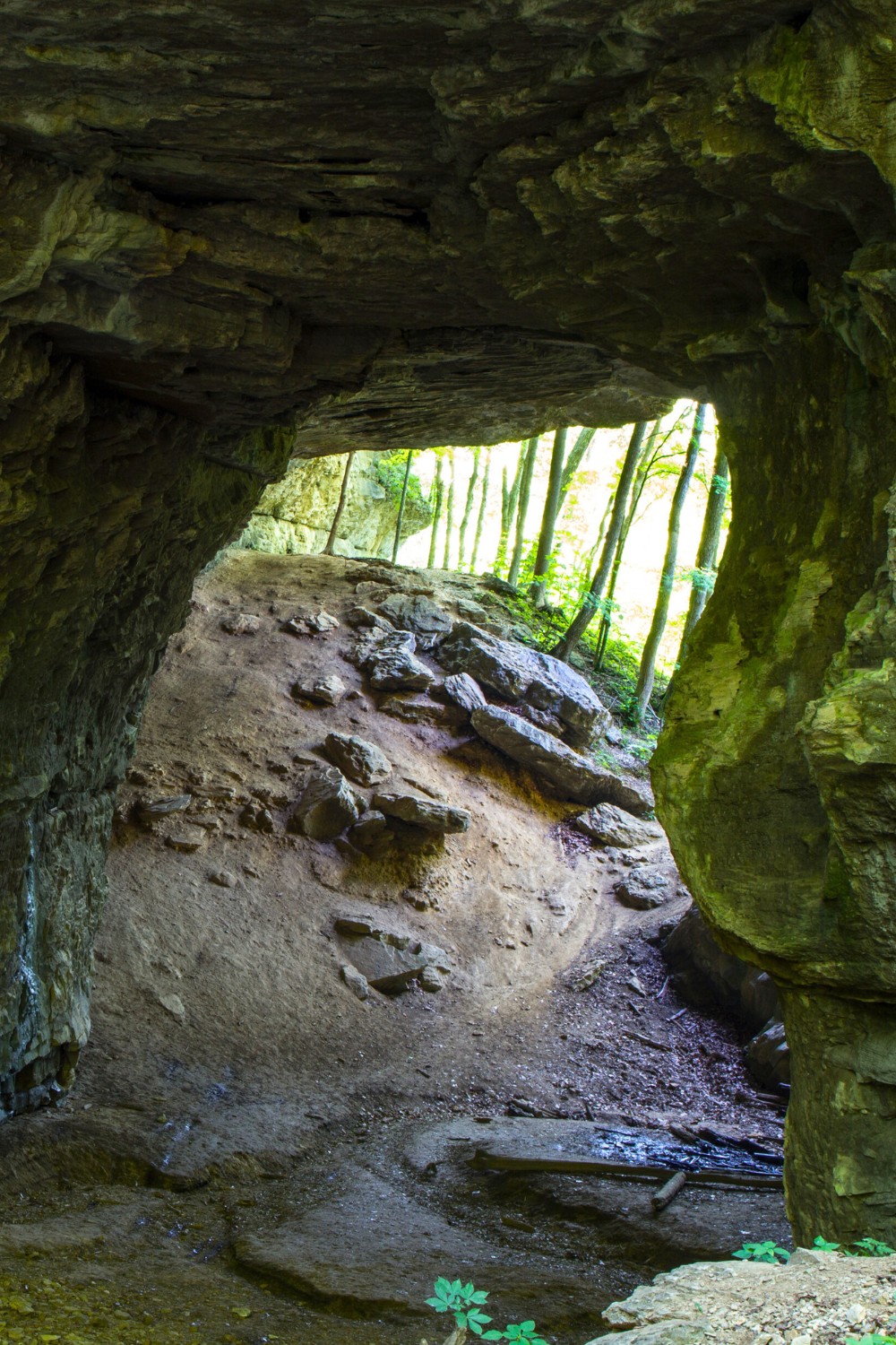 Carter Caves State Resort Park: 1st Time Visitor Guide