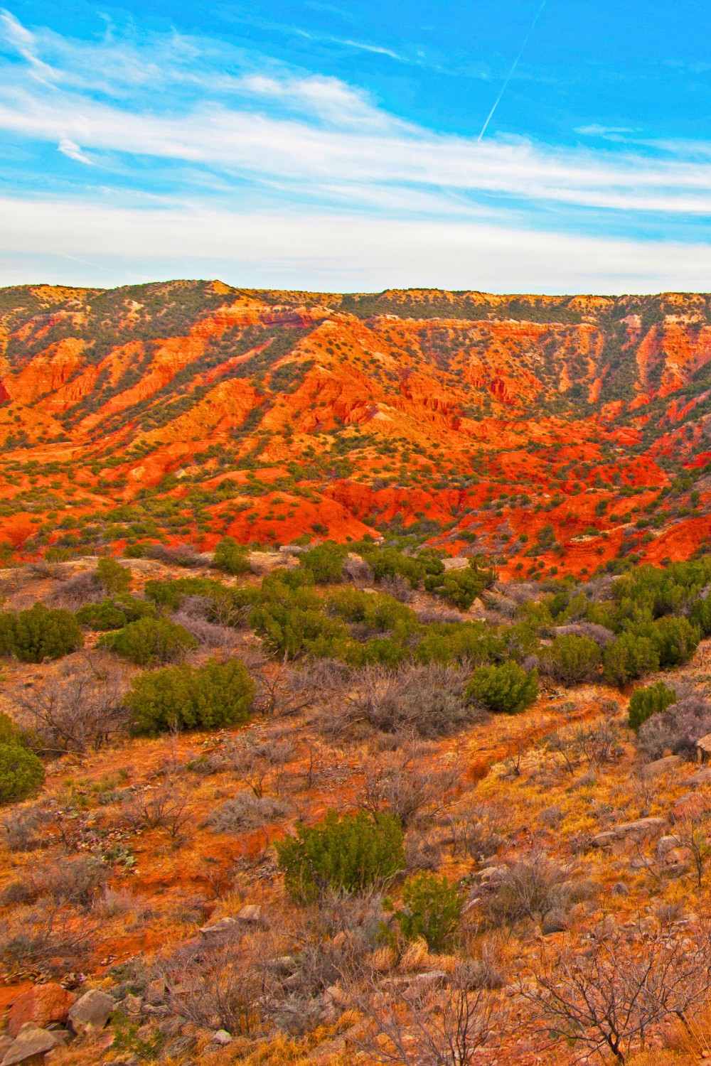 Caprock Canyons State Park: 1st Time Visitor Guide
