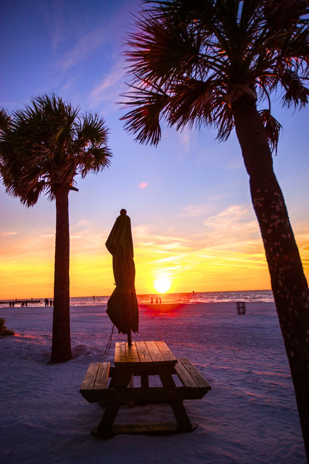 10 Best Things to do in Clearwater Florida | The Nature Seeker