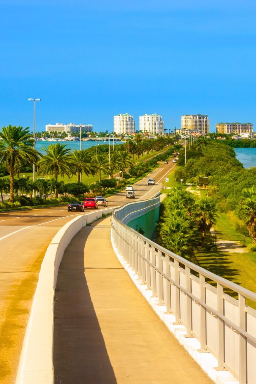 10 Best Things to do in Clearwater Florida | The Nature Seeker