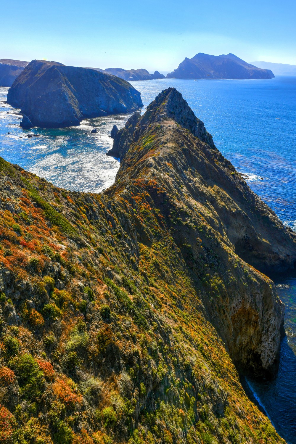 The Ultimate 10 Day California National Park Road Trip Loop | The ...