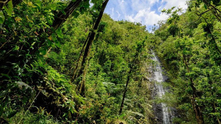 10 Awesome Things to Do in Honolulu Hawaii With Hidden Gems | The ...
