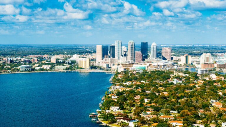 10 Amazing Things to do in Tampa Florida | The Nature Seeker