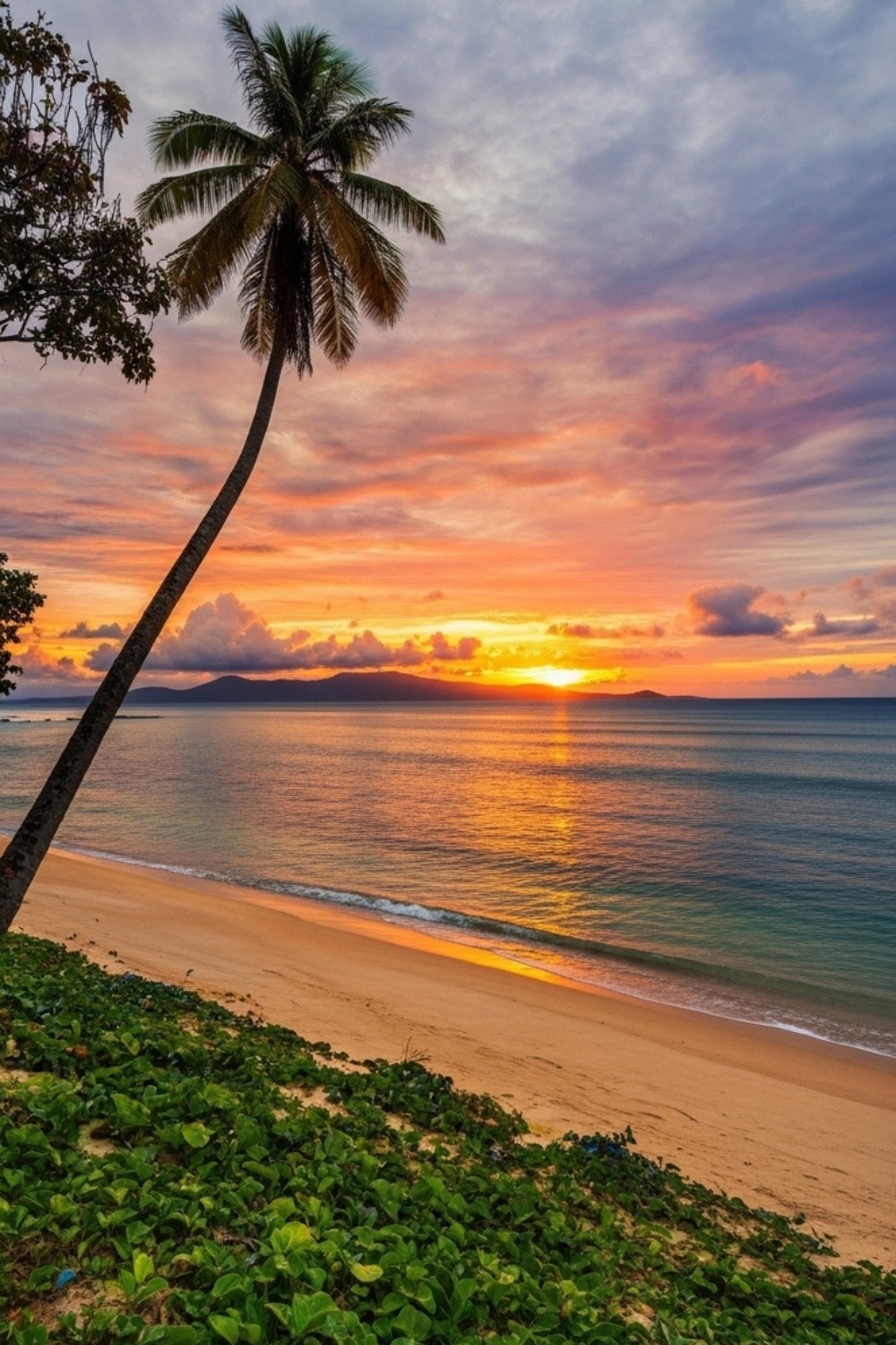 10 Incredible Things to do in Nassau Bahamas | The Nature Seeker